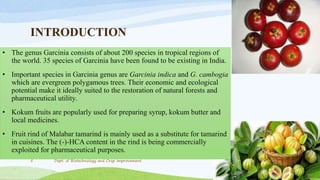 garcinia indica | PPTX