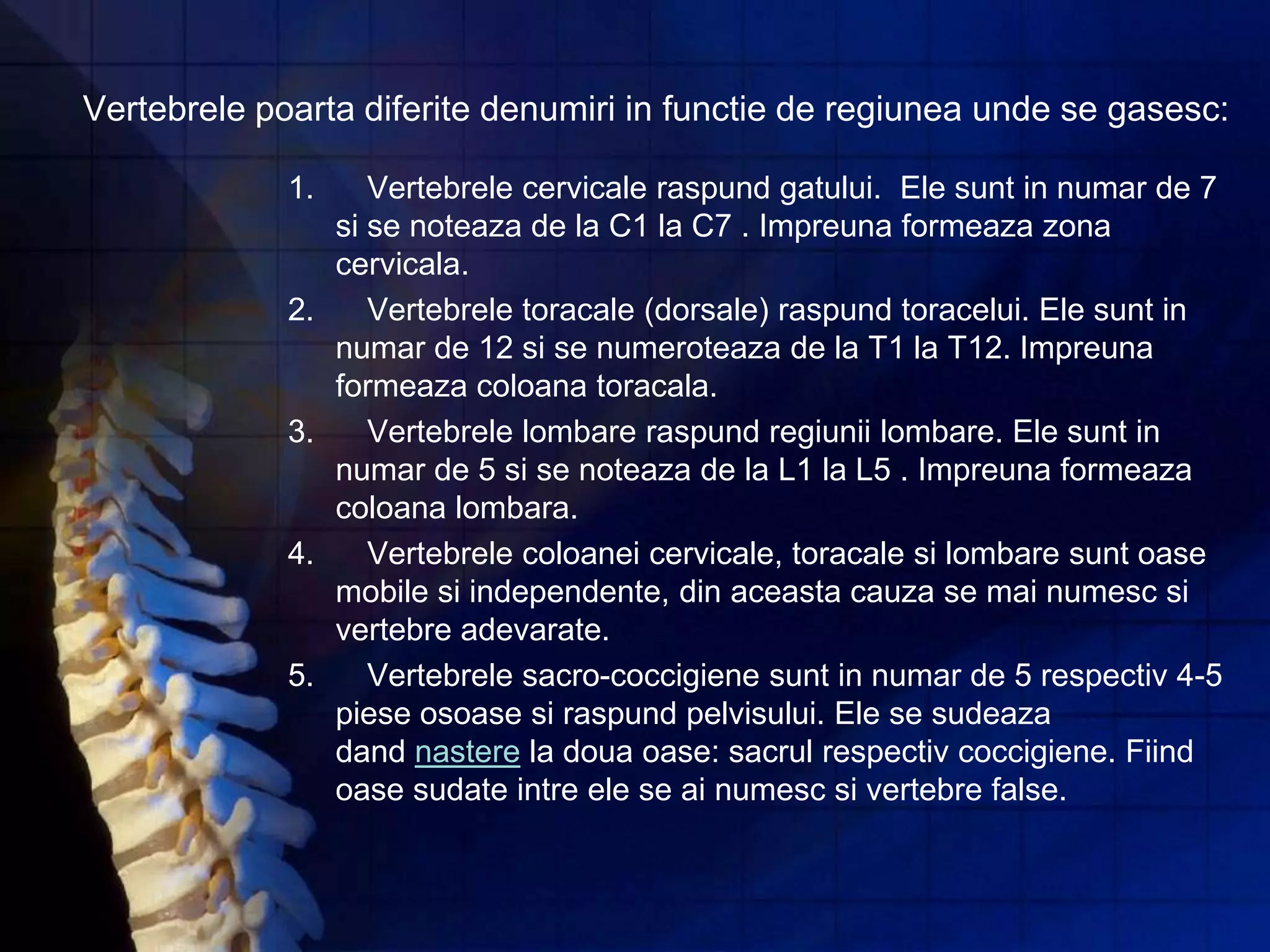 Coloana vertebrala(t l) | PPSX