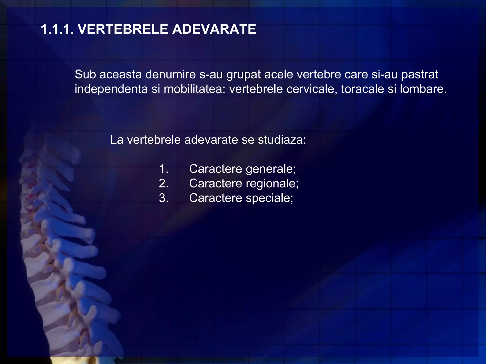 Coloana vertebrala(t l) | PPSX