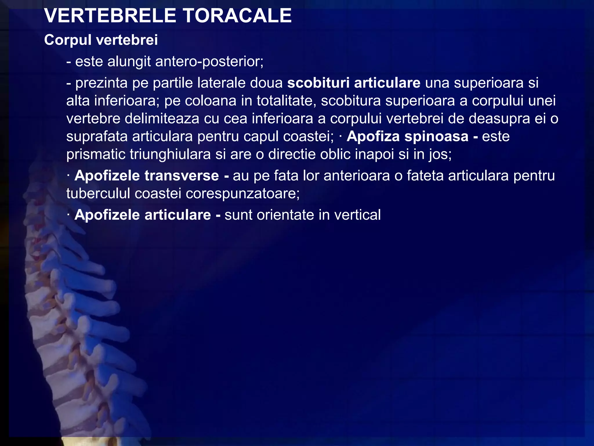 Coloana vertebrala(t l) | PPSX