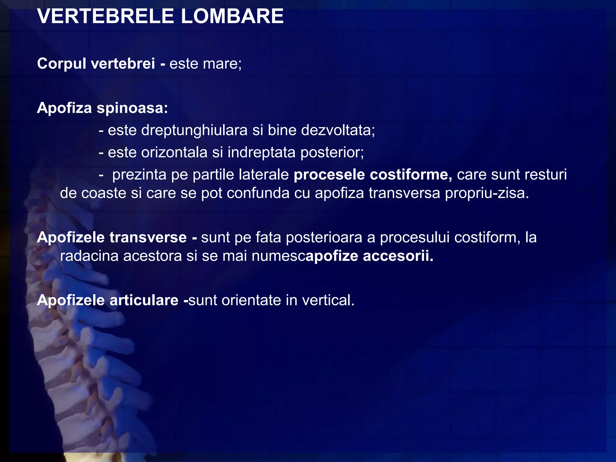 Coloana vertebrala(t l) | PPSX