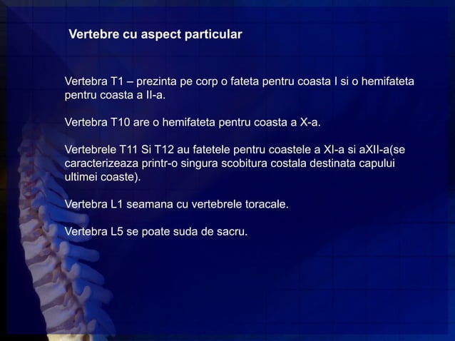 Coloana vertebrala(t l) | PPSX