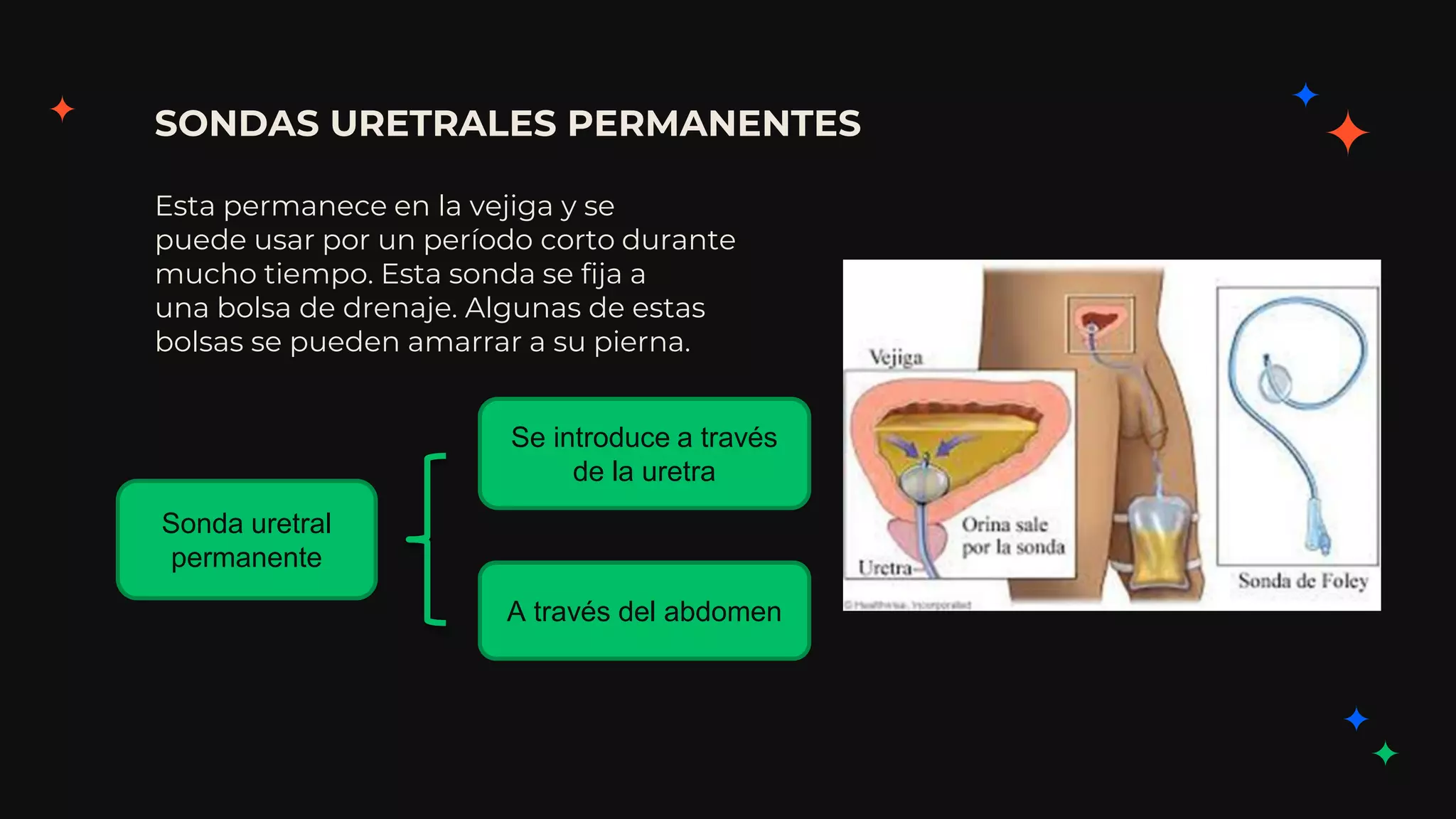 Colocación de sonda uretral | PDF