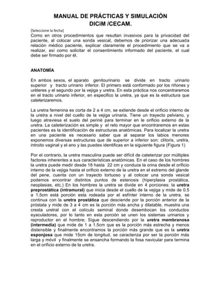 Colocacion de sonda_vesical_nueva-cecam- | PDF