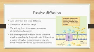 COLOGY.. group 1 1 qtn 1-4 edited.,pptx | PPT