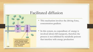 COLOGY.. group 1 1 qtn 1-4 edited.,pptx | PPT