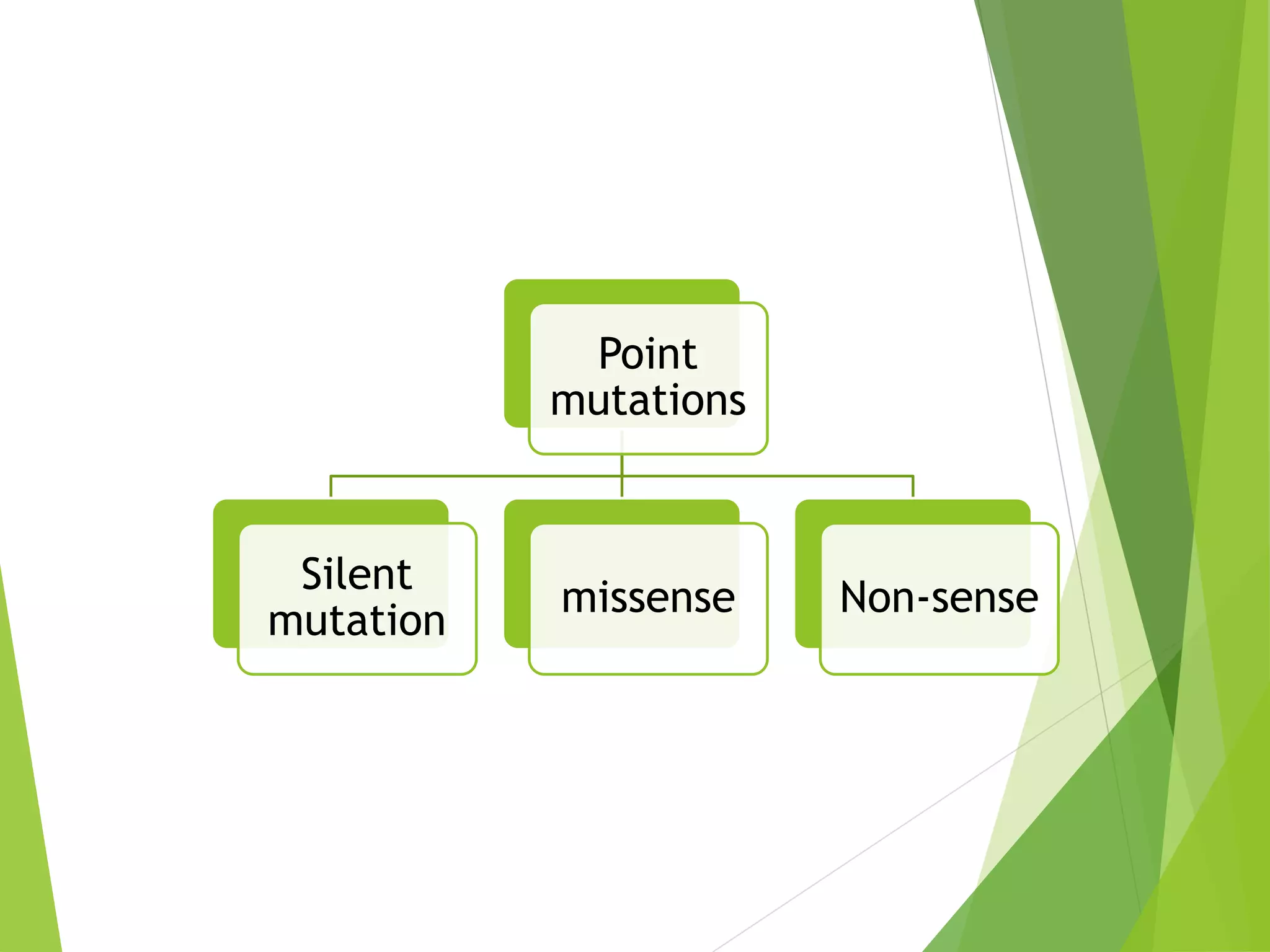 Mutation Gene And Chromosomal Pptx