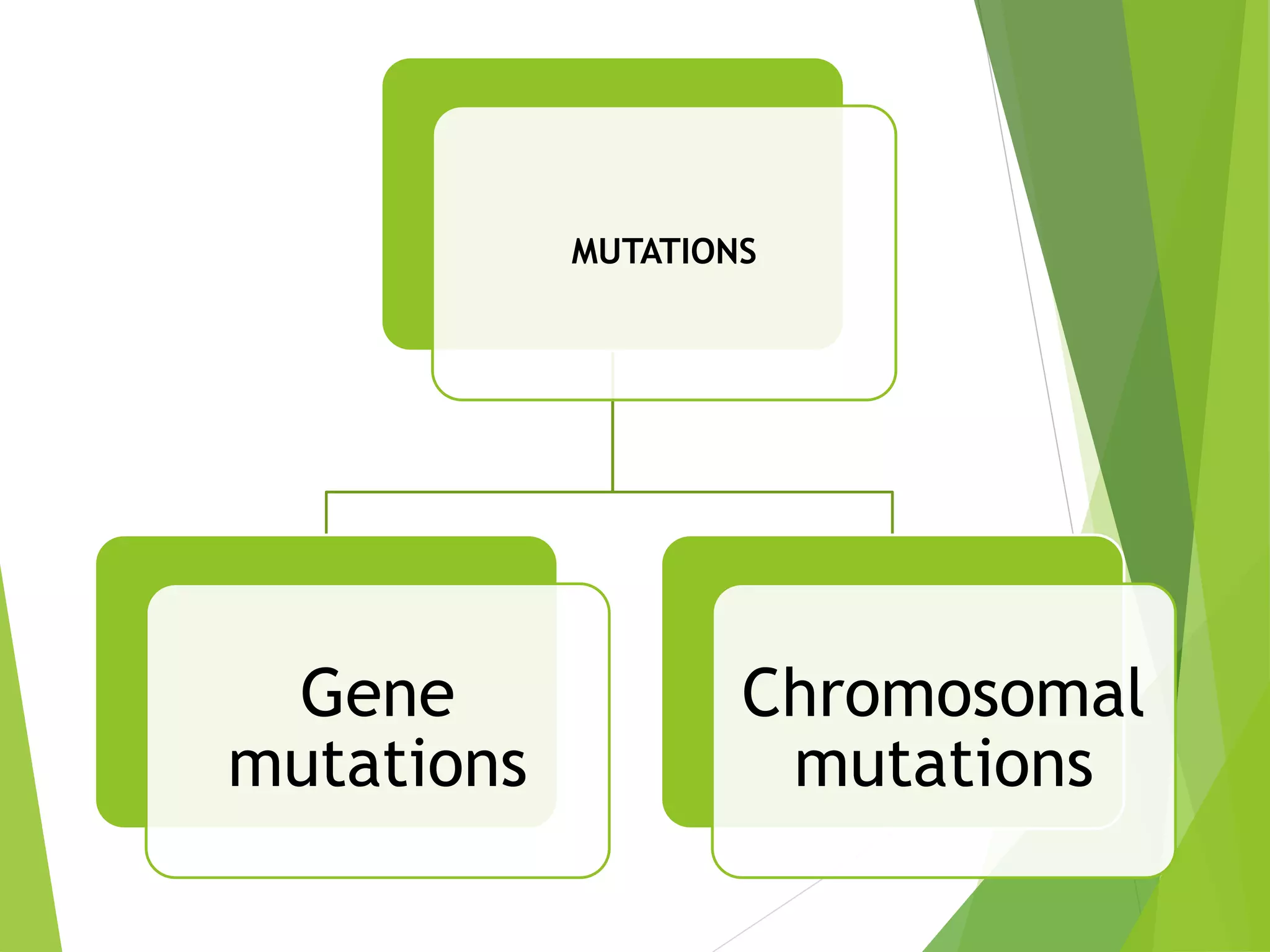 Mutation Gene And Chromosomal Pptx