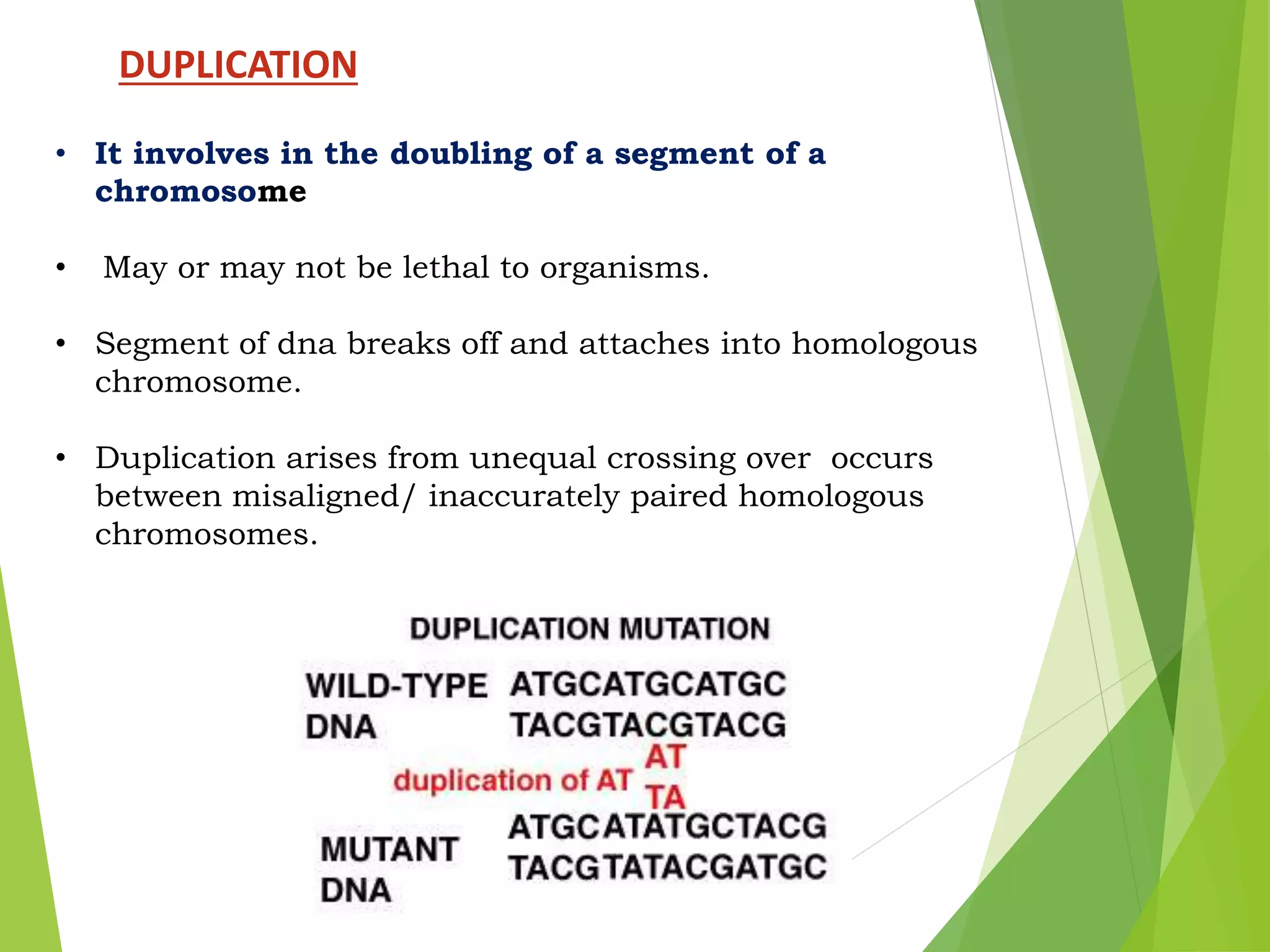 Mutation gene and chromosomal | PPTX
