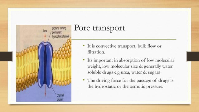 COLOGY - drug absorption and metabolism.pptx