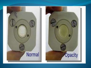 Bovine Corneal Opacity and Permeability Test | PPTX