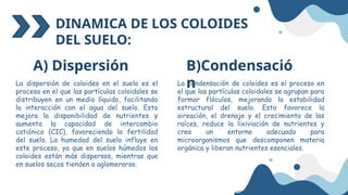 coloides clasificación taxonómica y tipos | PPTX