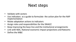 National Adaptation INdocator System - SNIACC | PPT