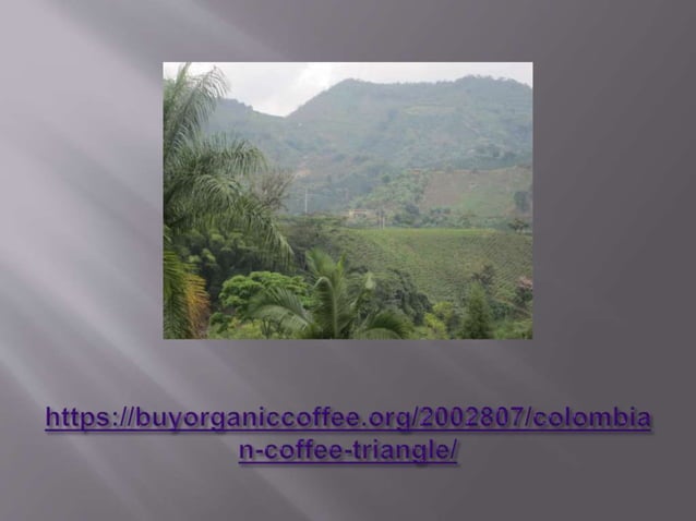 Colombian Coffee Triangle | PPT