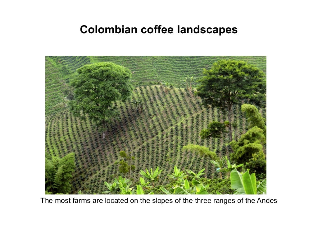 Colombian Coffee production and Coffe Cultural Landscapes of Colombia…