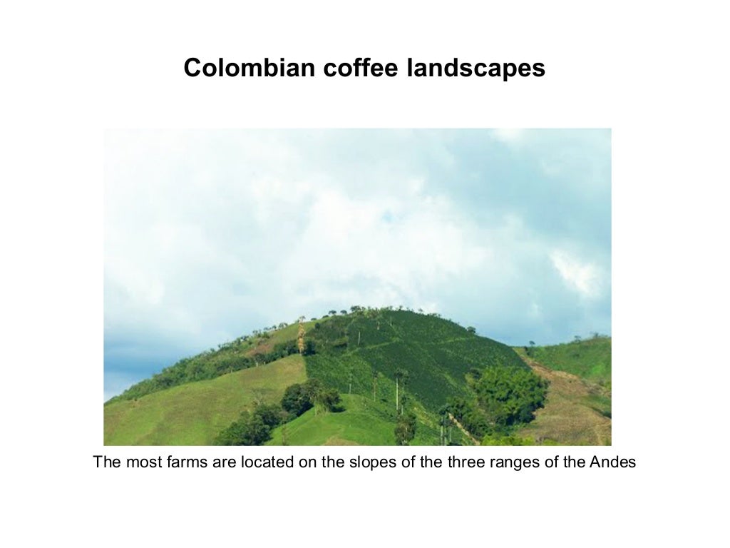 Colombian Coffee production and Coffe Cultural Landscapes of Colombia…