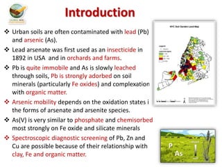Bioaccessibility of Pb and As in contaminated urban soil evaluated by ...