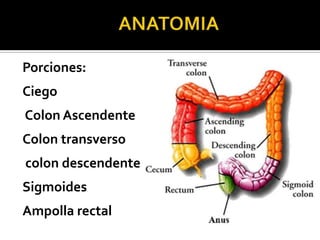 COLON EN IMAGENOLOGIA | PPTX