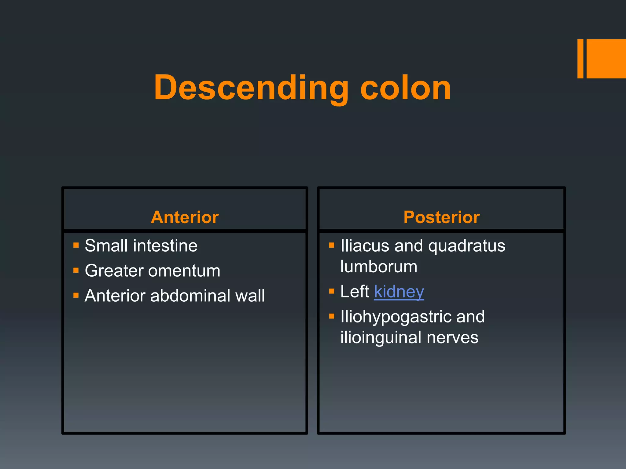 Colon/Large Intestine. | PPTX