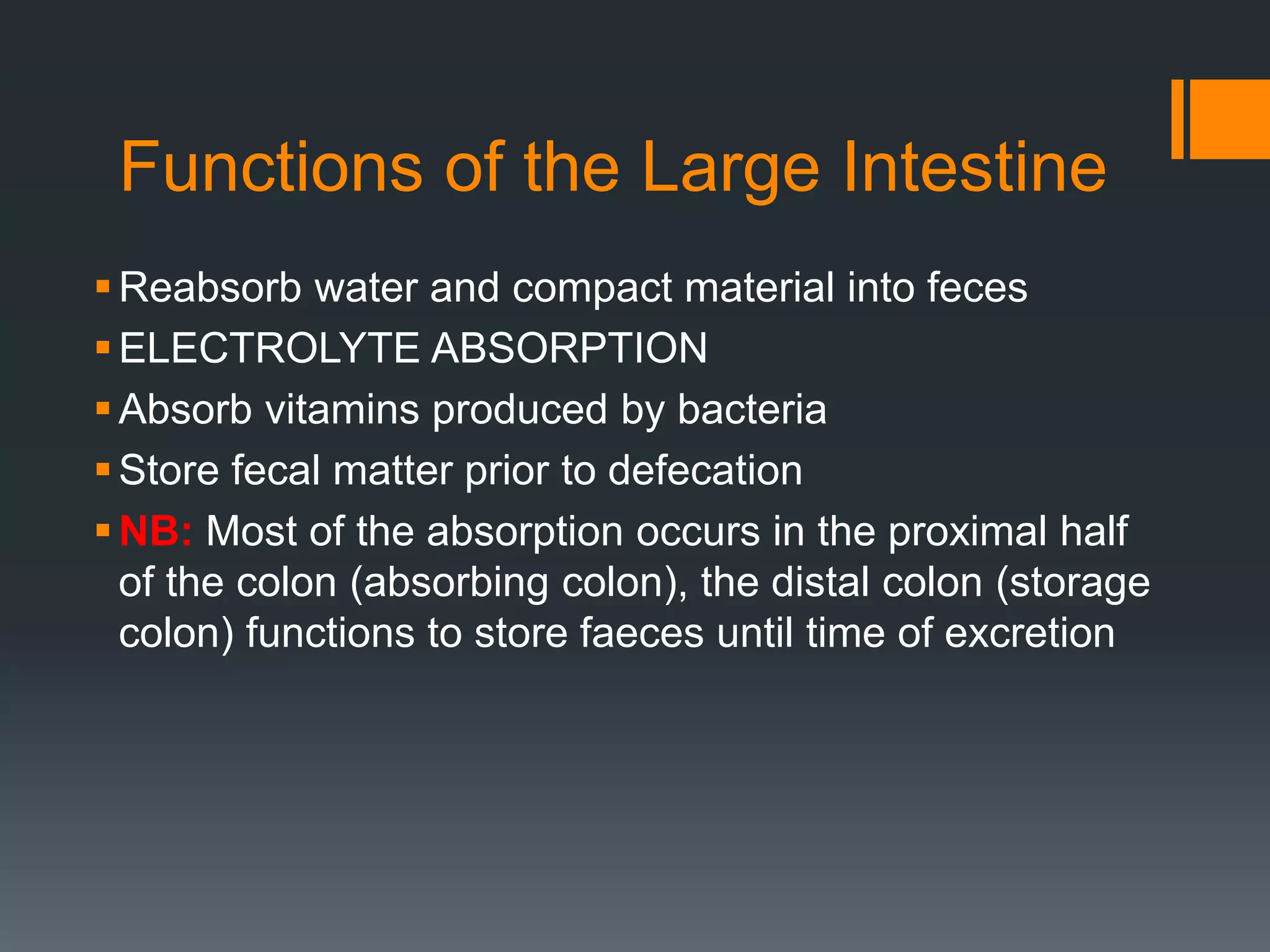 Colon/Large Intestine. | PPTX