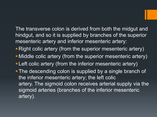 Colon/Large Intestine. | PPT