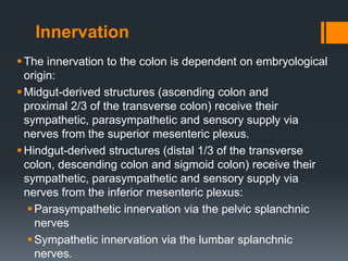 Colon/Large Intestine. | PPT