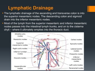 Colon/Large Intestine. | PPTX