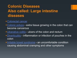 Colon/Large Intestine. | PPT