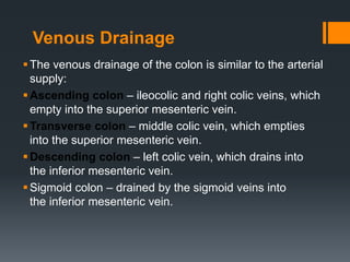Colon/Large Intestine. | PPT