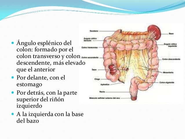 Colon dr jorgerua-udabol