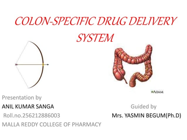 Colon specific drug delivery system | PPTX | Digestive Disorders ...