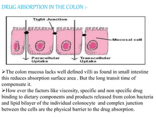Colon specific drug delivery system | PPTX