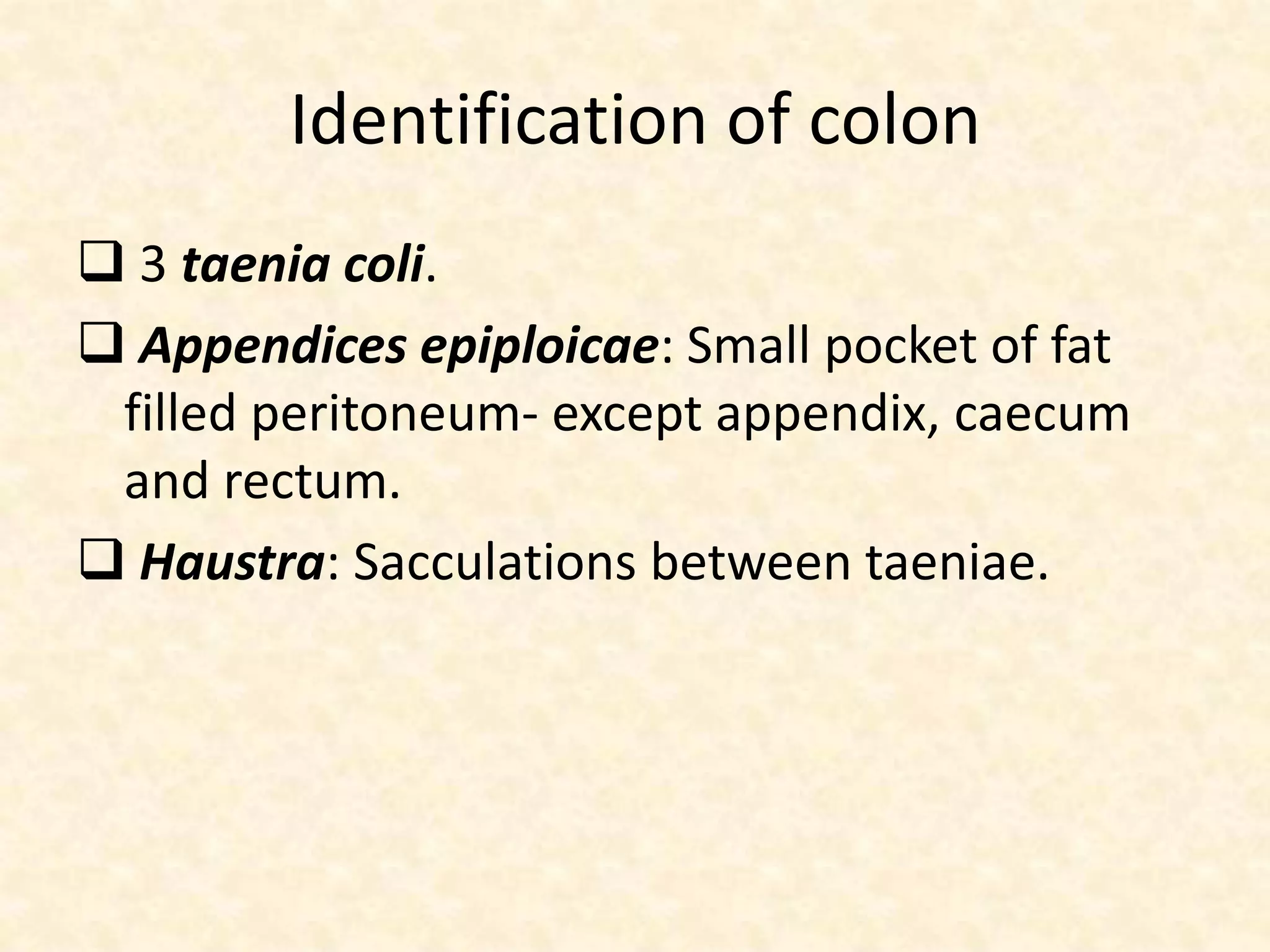 Important disorders of colon | PPSX