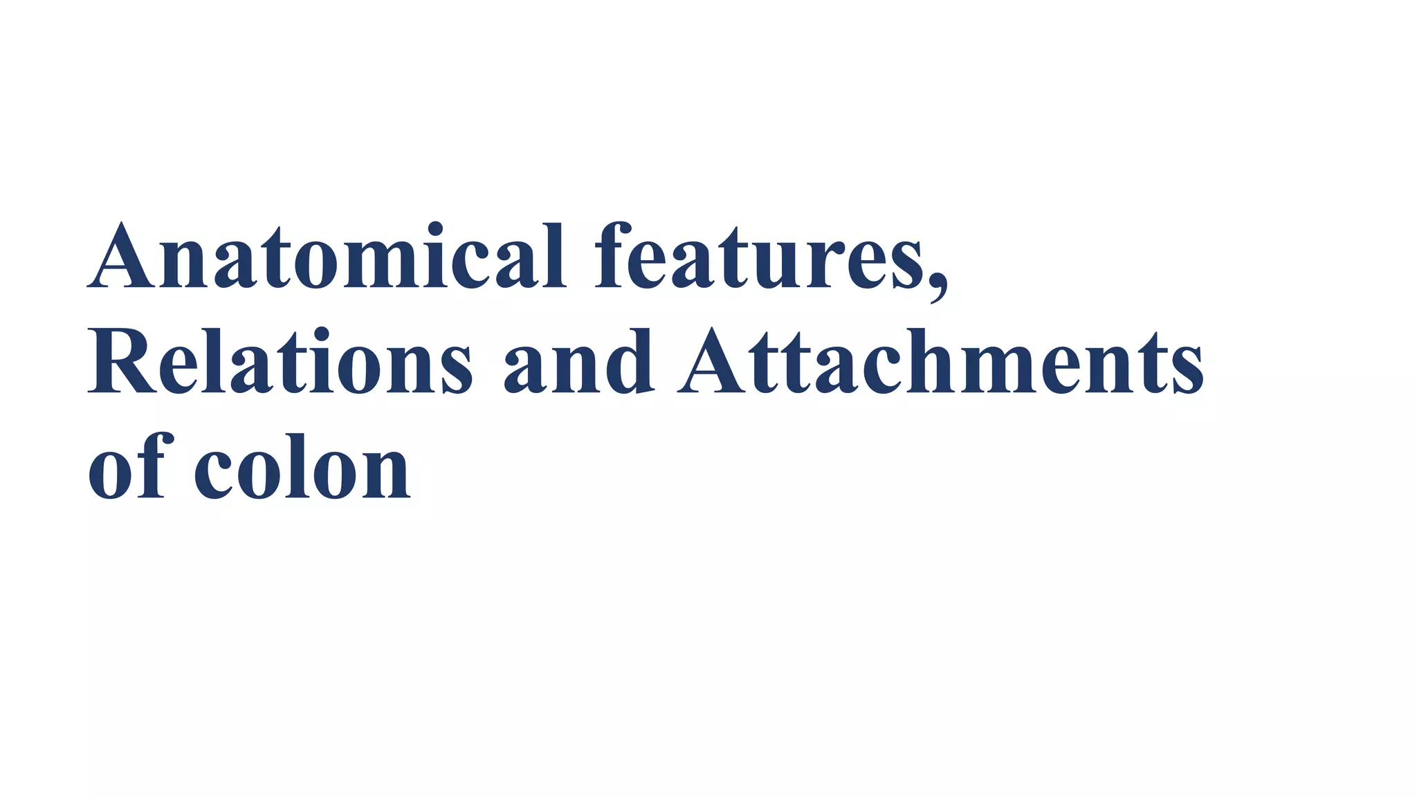 Colon anatomy | PPTX