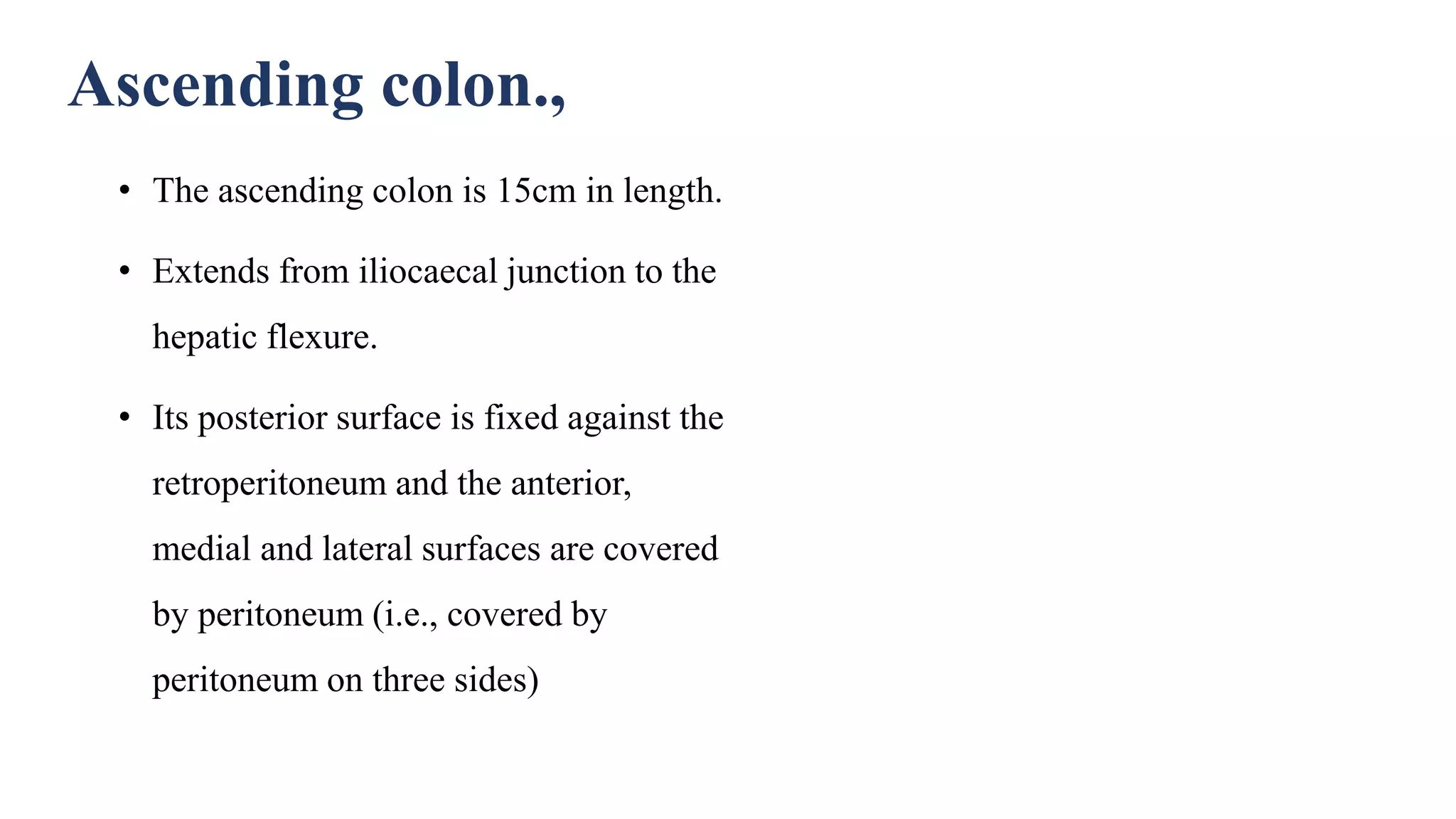 Colon anatomy | PPTX