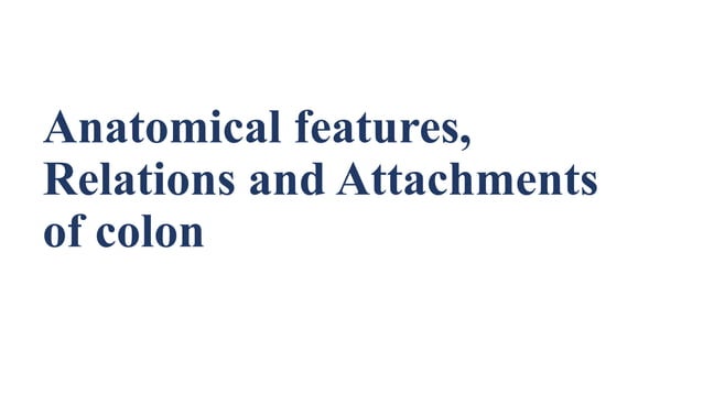 Colon anatomy | PPTX