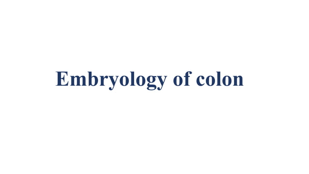 Colon anatomy | PPTX