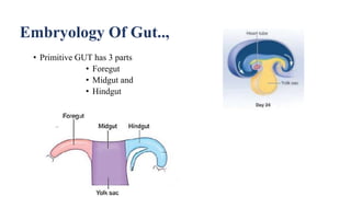 Colon anatomy | PPTX