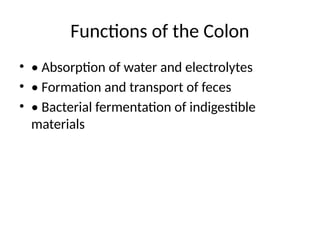 Colon_Anatomy_Presentation_With_Images.pptx