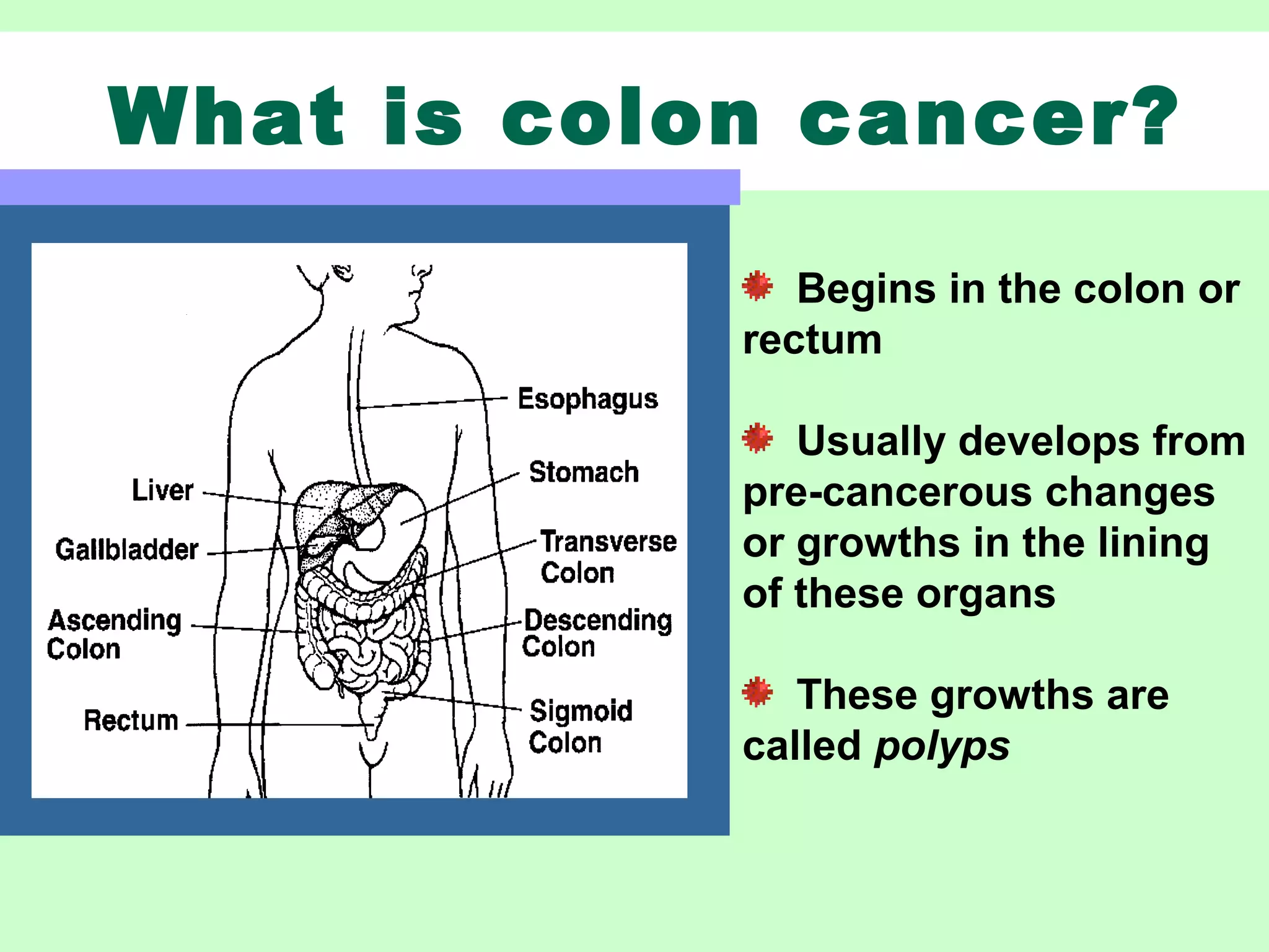 Colon and digestive health | PPS