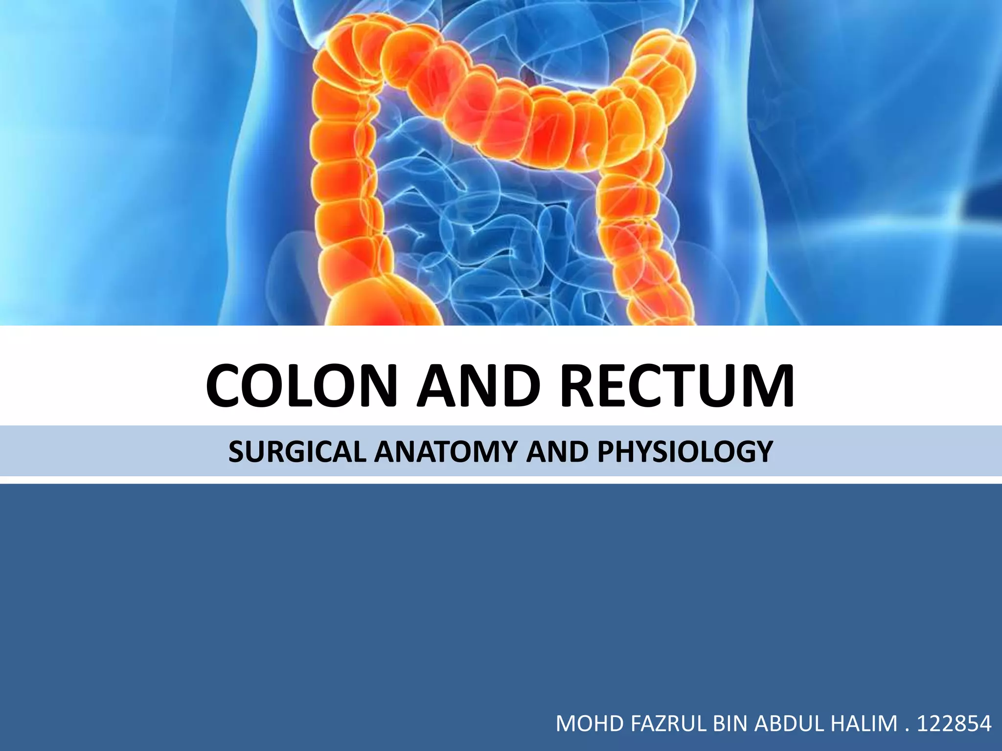 Colon and Rectum Surgical Anatomy and Physiology | PPTX