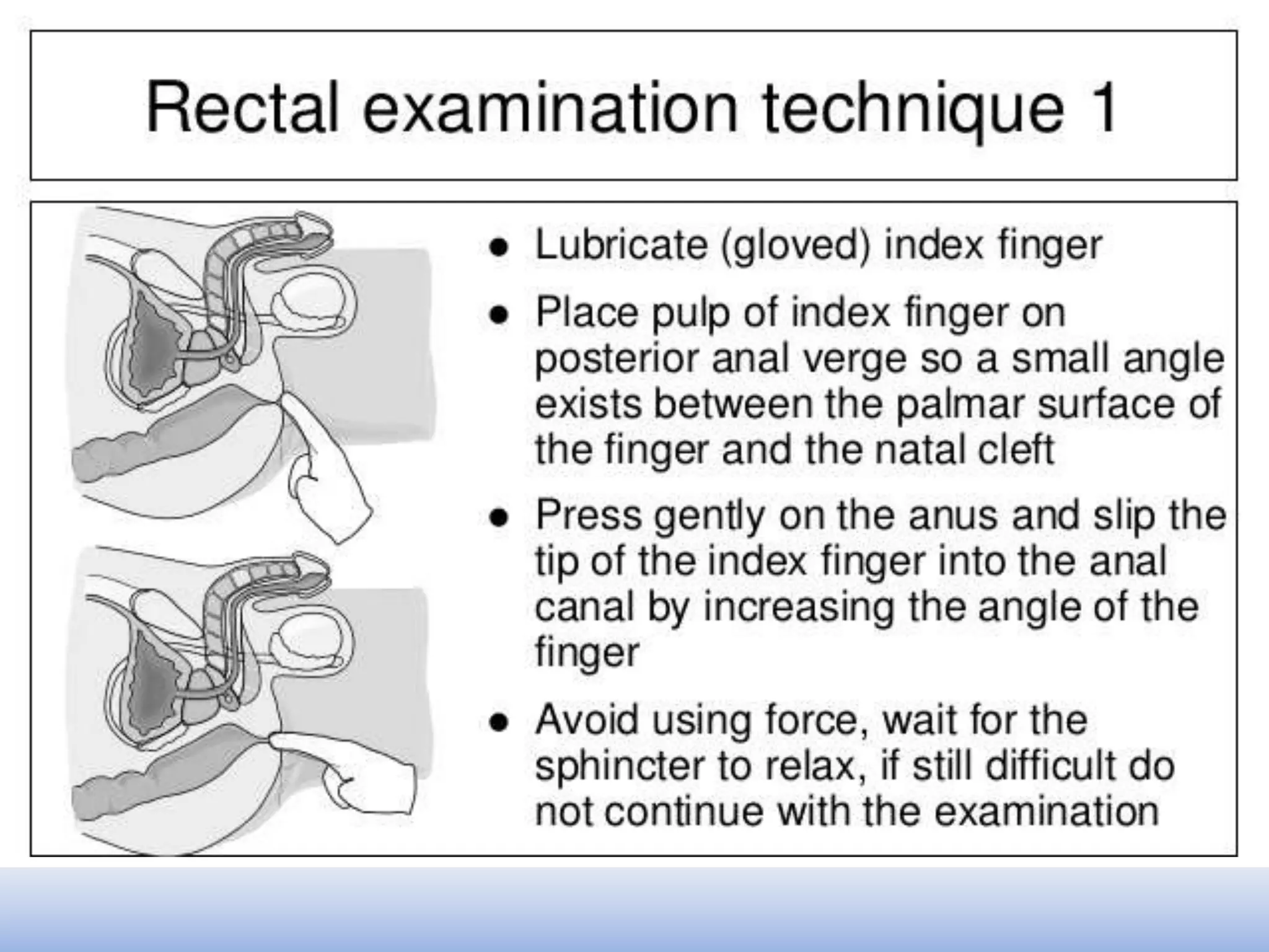 Colon and Rectum Surgical Anatomy and Physiology | PPTX