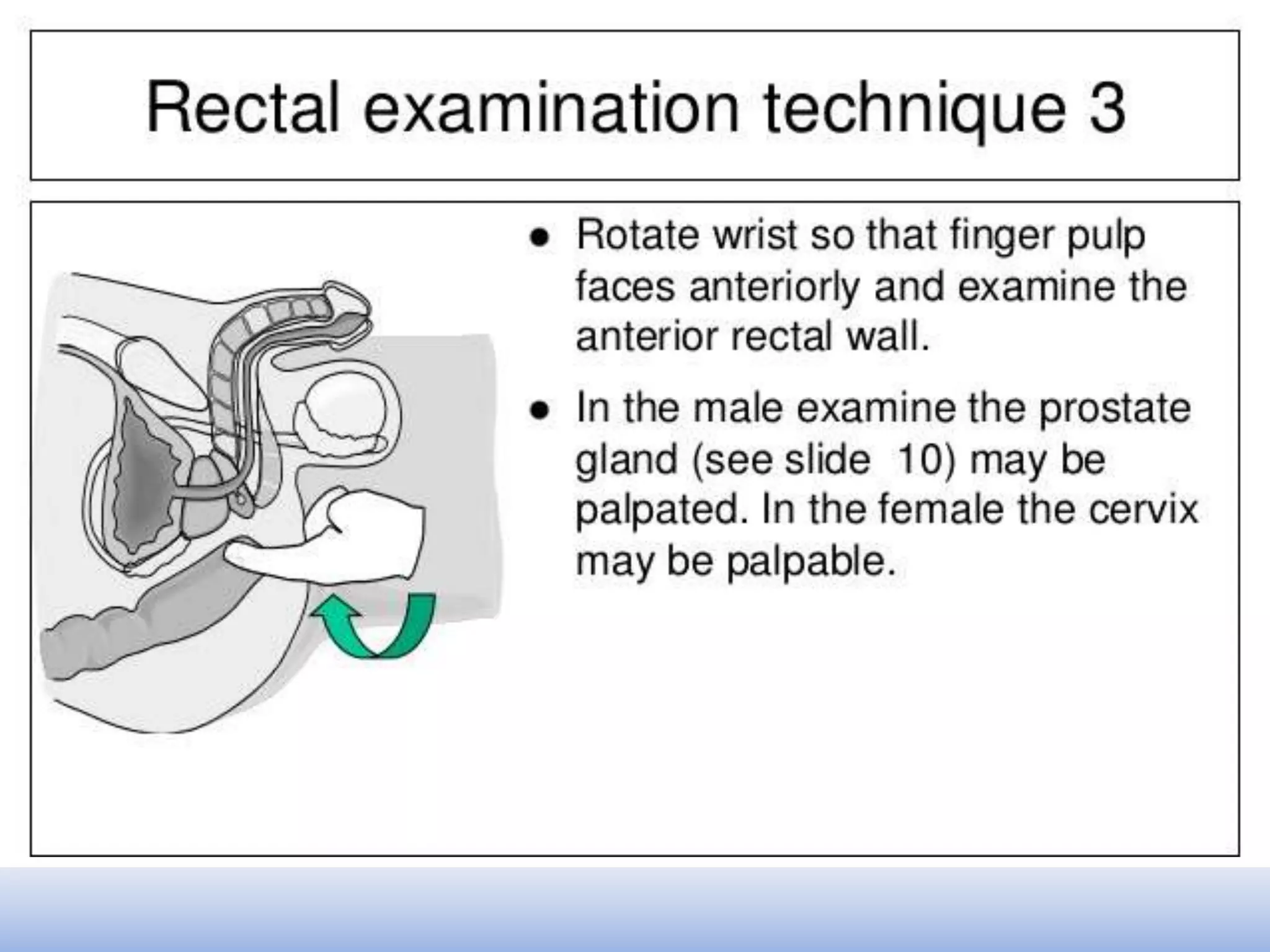 Colon and Rectum Surgical Anatomy and Physiology | PPTX