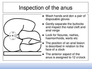 Colon and Rectum Surgical Anatomy and Physiology | PPTX