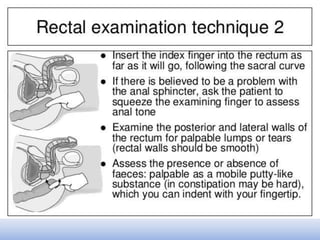 Colon and Rectum Surgical Anatomy and Physiology | PPTX