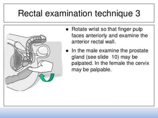 Colon and Rectum Surgical Anatomy and Physiology | PPTX