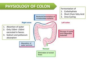 Colon and Rectum Surgical Anatomy and Physiology | PPTX