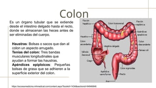 COLON ANO Y RECTO INTERNO DE PREGRADO | PPTX