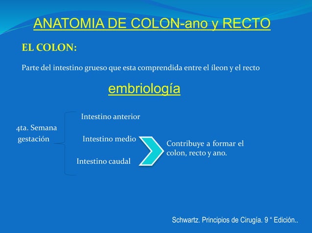 Colon, ano y recto desiree velasquez | PPTX