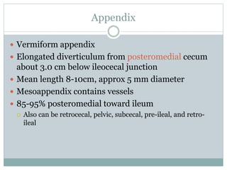 colonap7-21-10-120325123756-phpapp01.ppt | Free Download